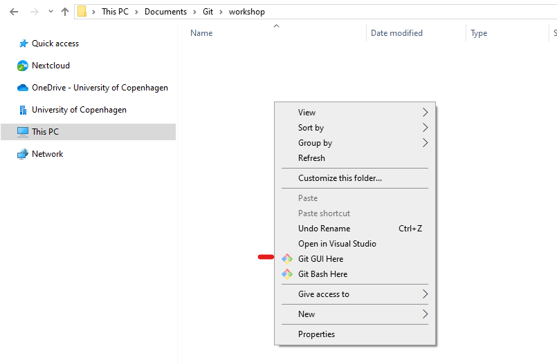 Hands-on Activity 1 – ISEE young 2024 - WS8 - Reproducibility